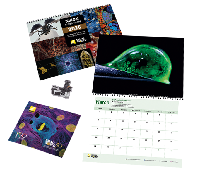 2026 Small World Calendar